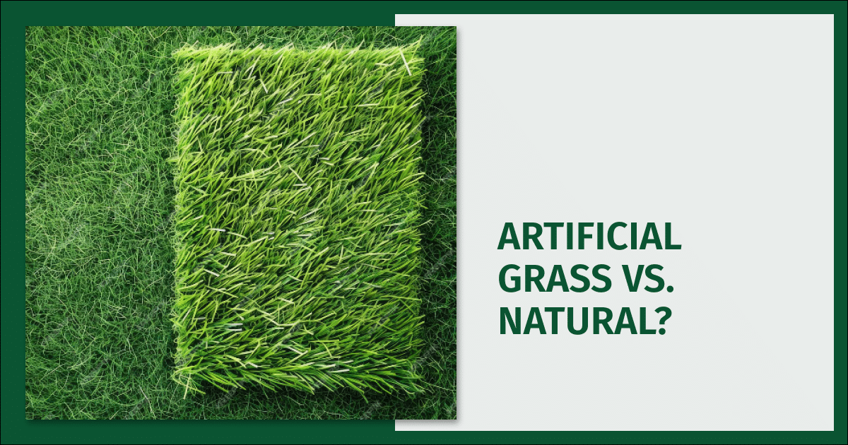 Artificial Grass vs. Natural: Which Is Best for Your Glendale Home?